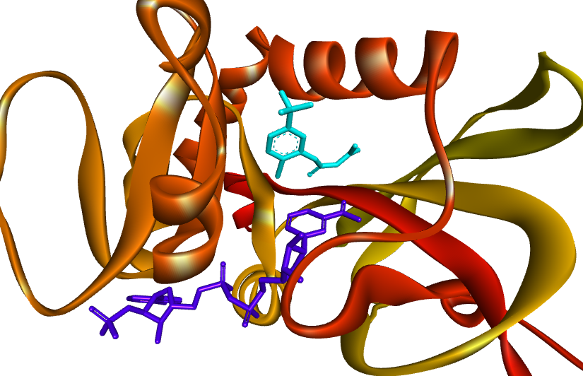 A Beginner s Guide To Molecular Docking A Beginner s Guide To Molecular Docking